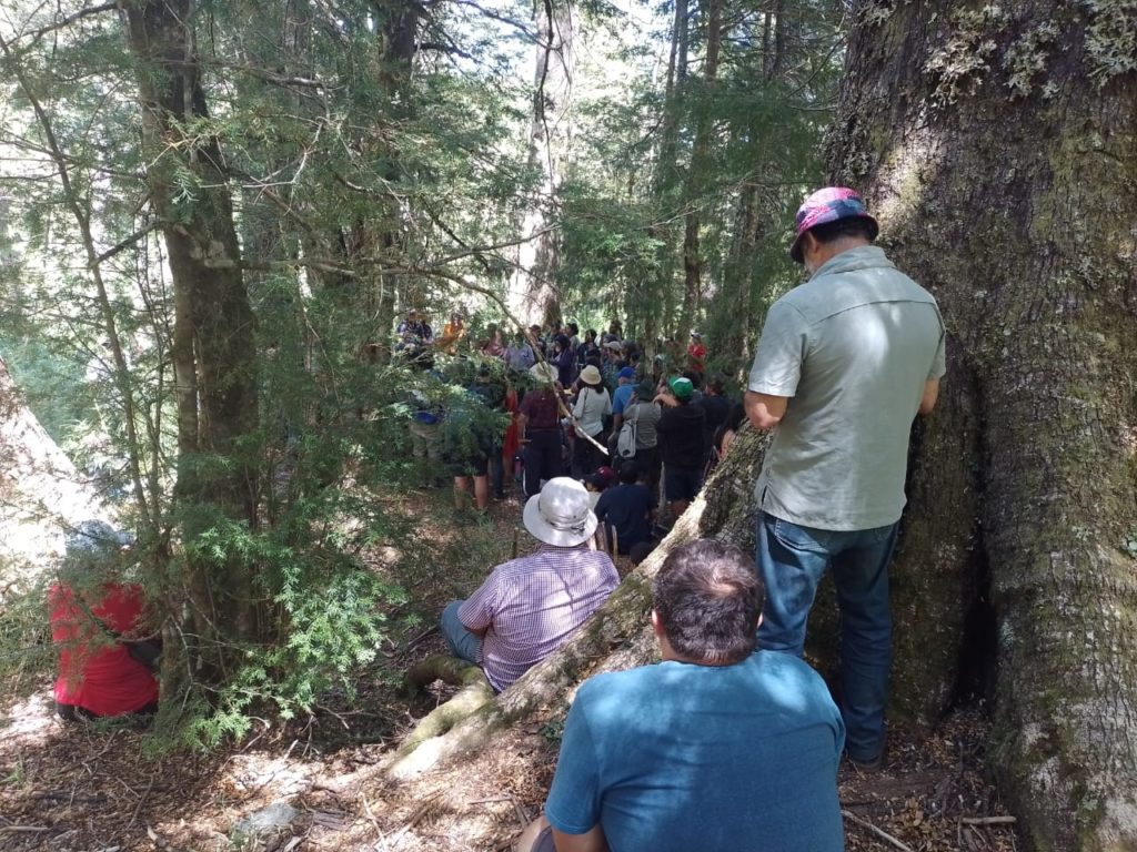 Centro Cultural Museo y Memoria Neltume
